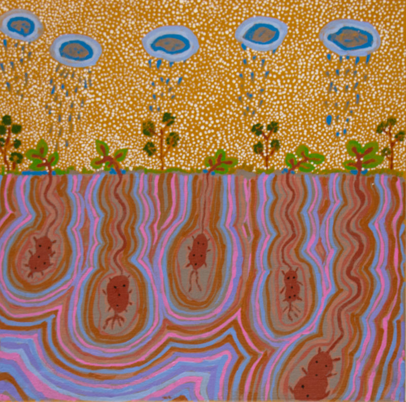 Artist Spotlight: Sharon Bill – Barkly Regional Arts